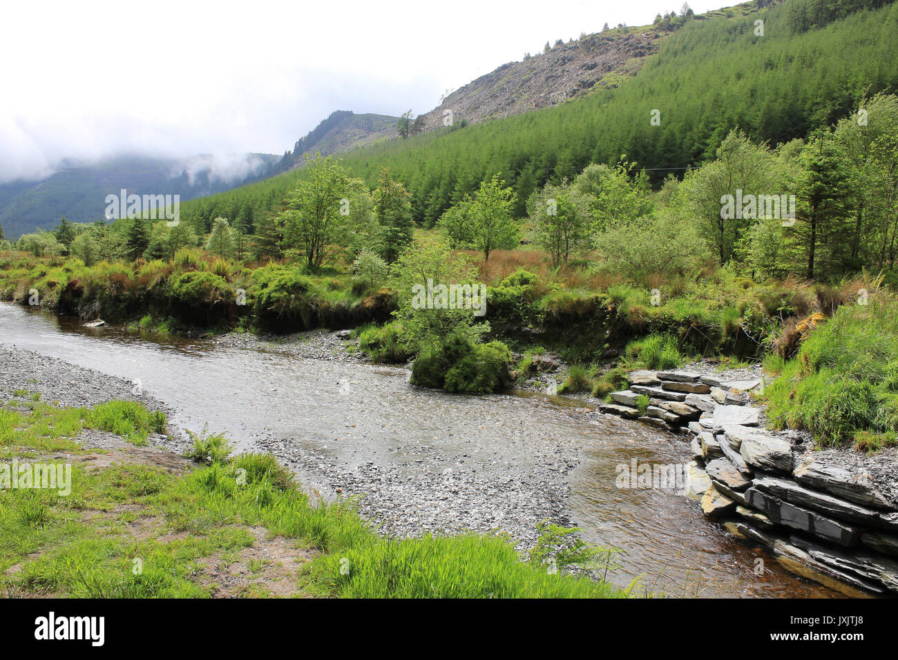 Afon cwm penamnen immagini e fotografie stock ad alta risoluzione - Alamy