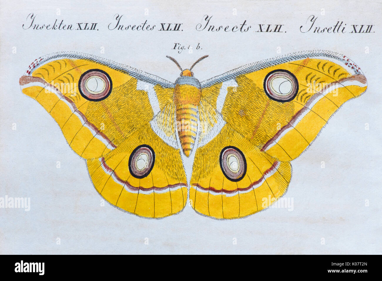 Il libro giallo immagini e fotografie stock ad alta risoluzione - Alamy