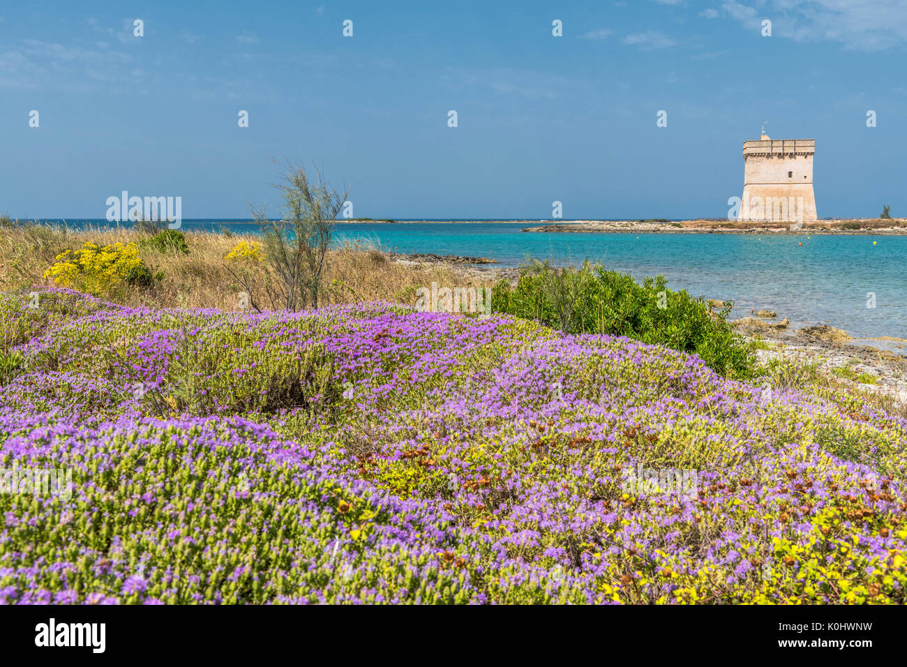 Torre chianca puglia immagini e fotografie stock ad alta risoluzione ...