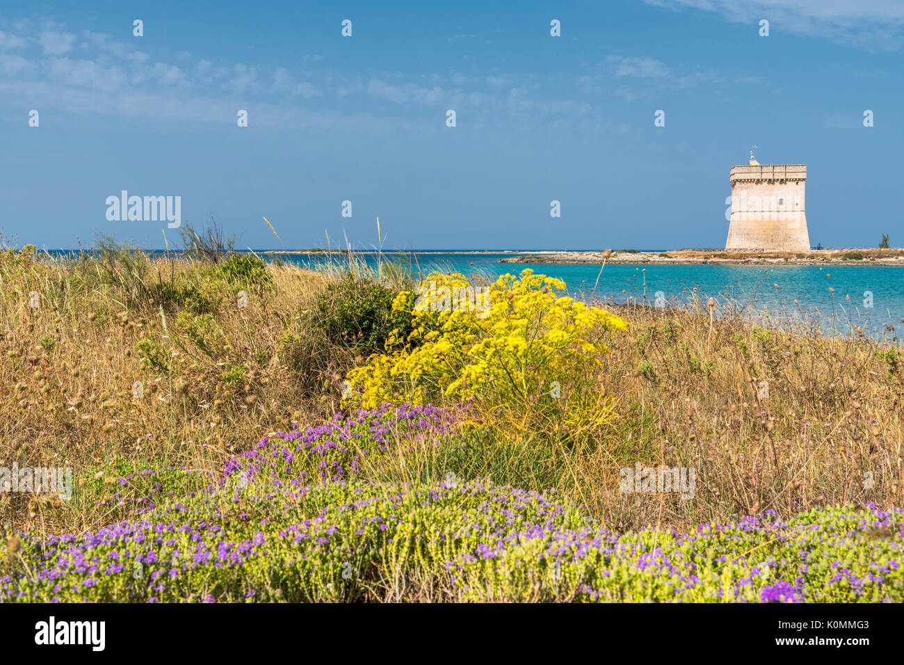 Torre chianca puglia immagini e fotografie stock ad alta risoluzione ...