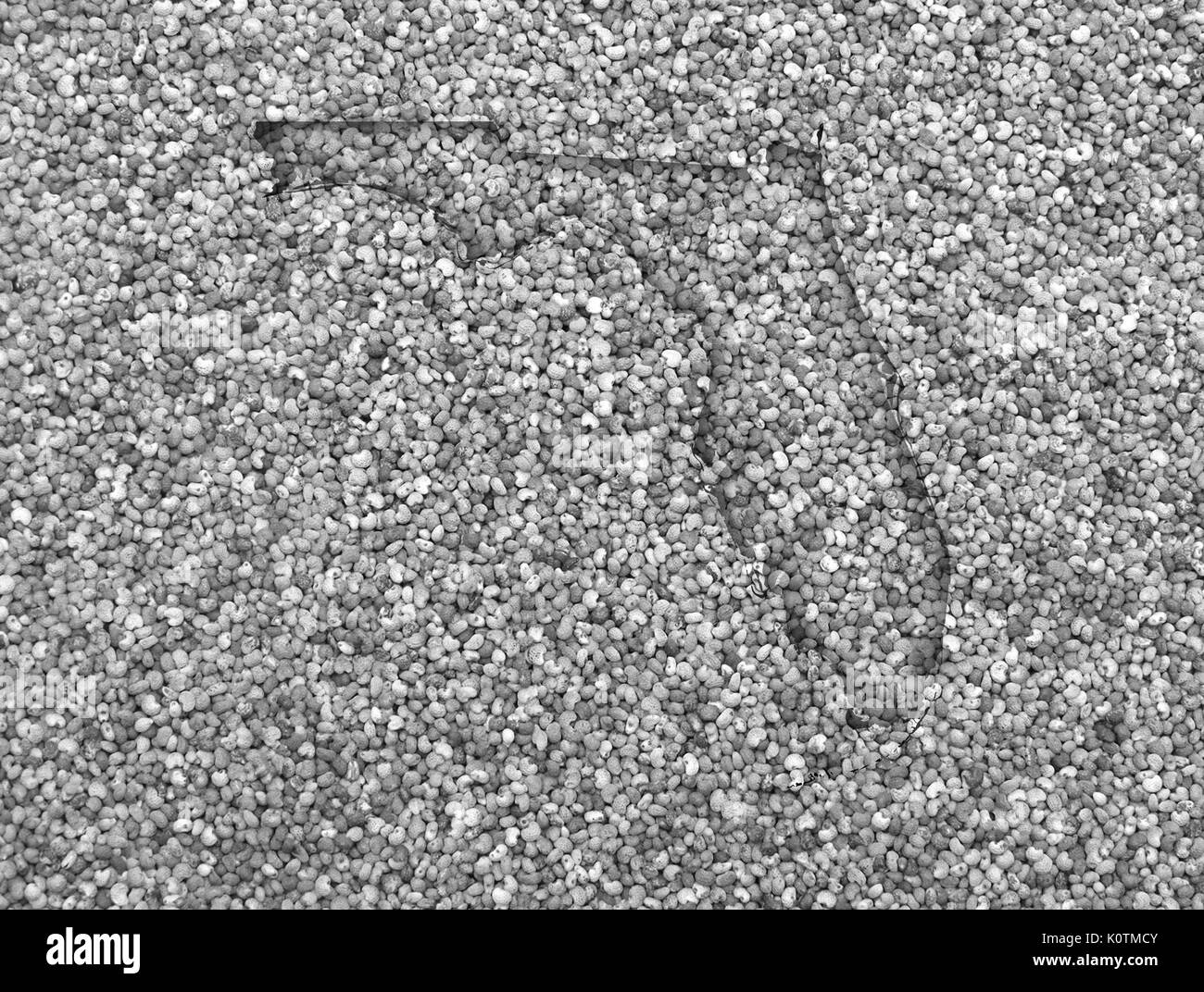 Mappa dello stato della florida Foto e Immagini Stock in Bianco e Nero ...