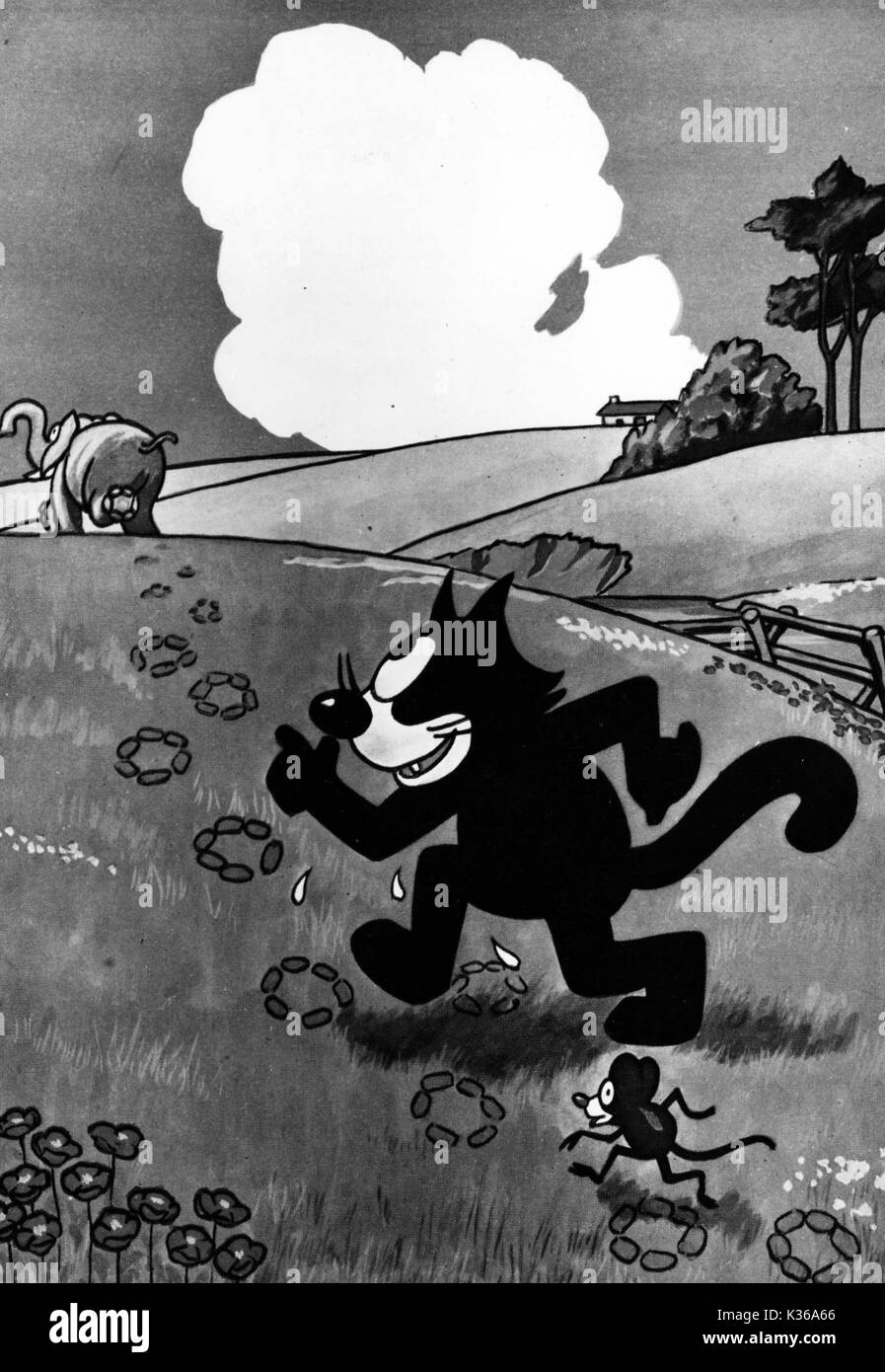 Gatto felix immagini e fotografie stock ad alta risoluzione - Alamy