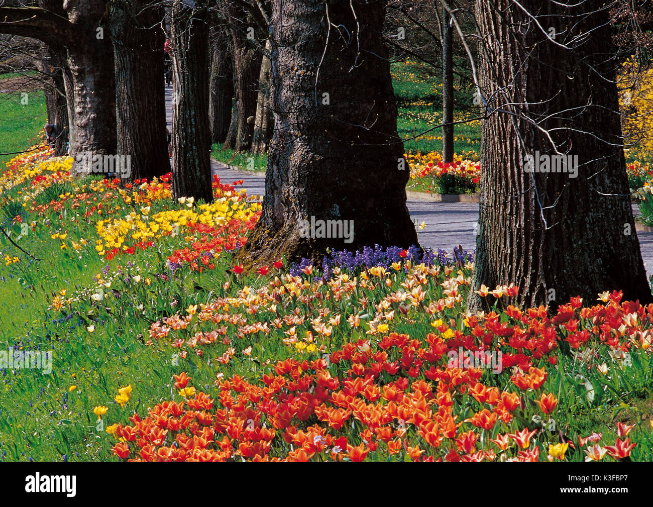 Isola di mainau lago di costanza immagini e fotografie stock ad alta ...
