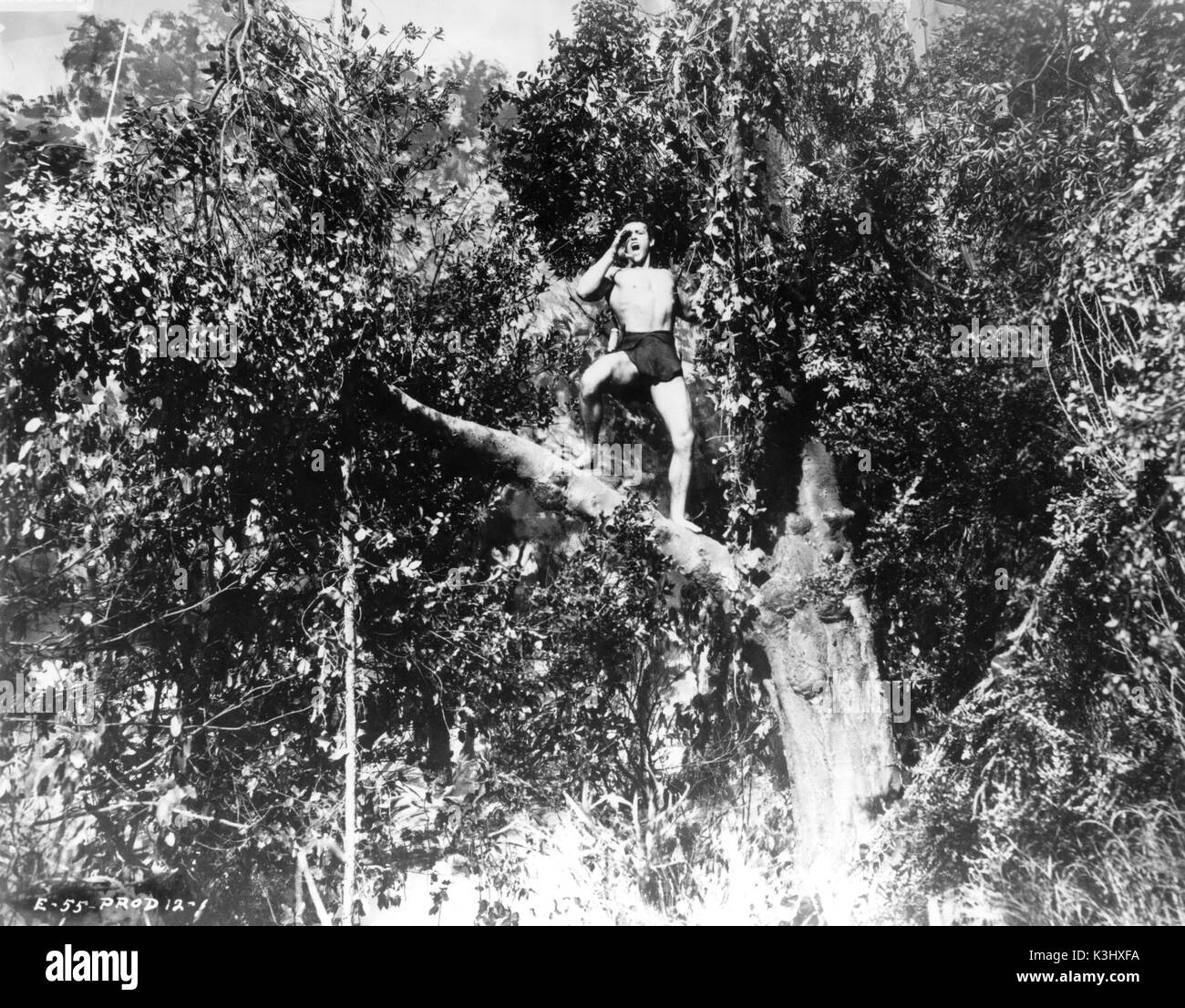 Gordon scott nel ruolo di tarzan immagini e fotografie stock ad alta ...