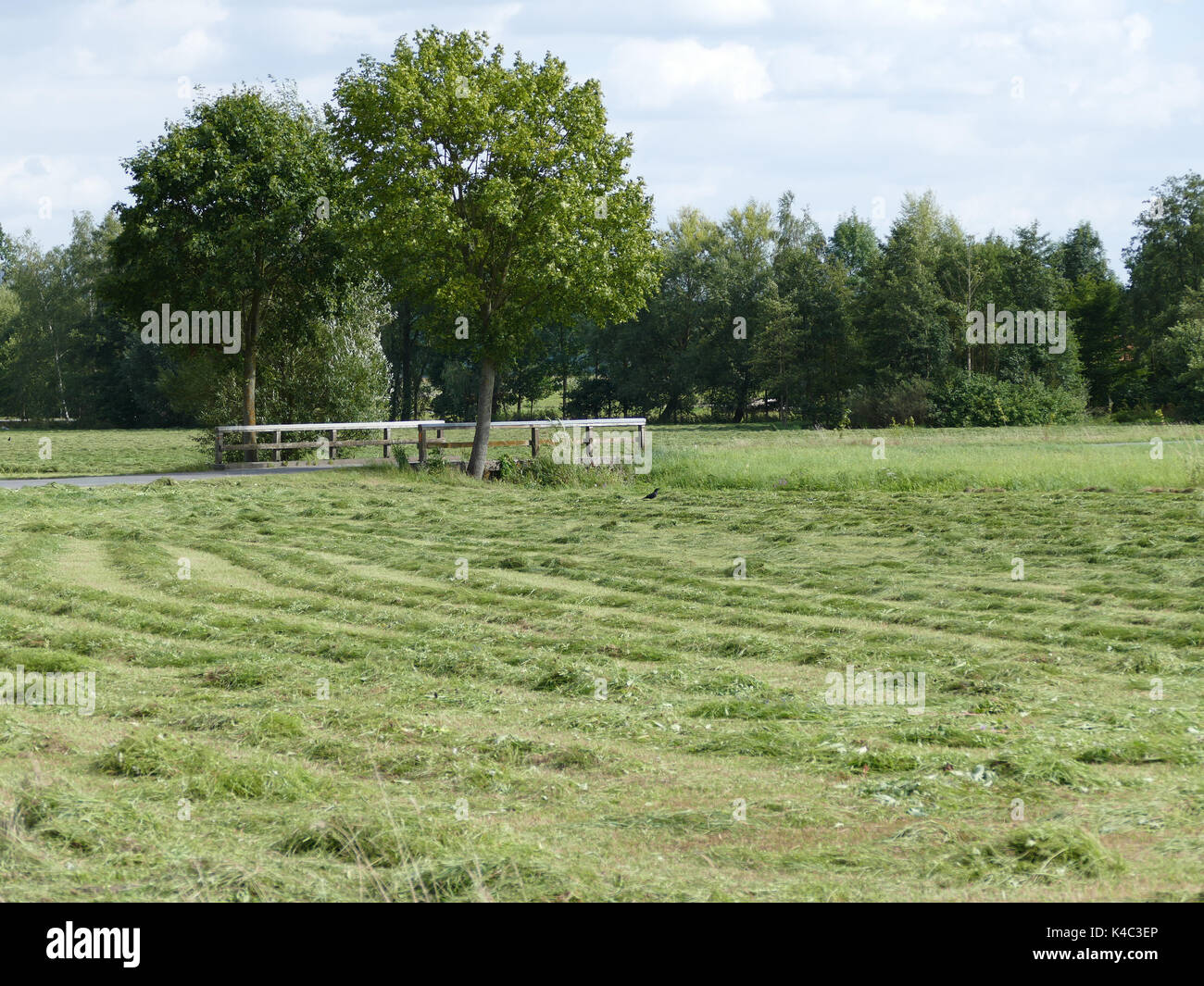 Stagione della fienagione immagini e fotografie stock ad alta ...