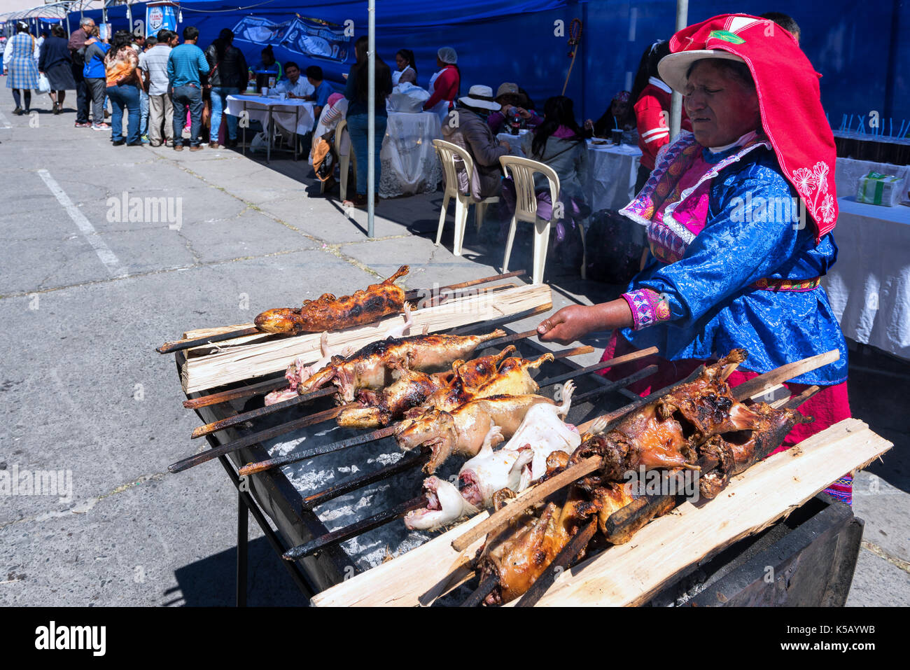 Guinea pigs peru immagini e fotografie stock ad alta risoluzione - Alamy