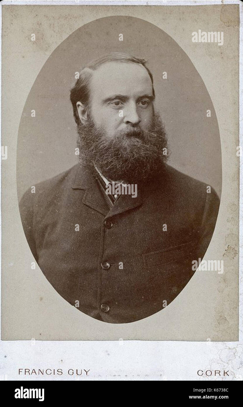 Charles stuart parnell immagini e fotografie stock ad alta risoluzione ...