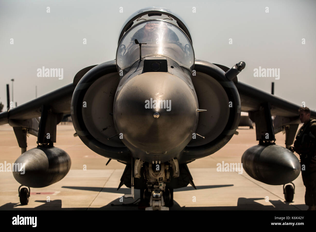 Av 8b harrier immagini e fotografie stock ad alta risoluzione - Alamy