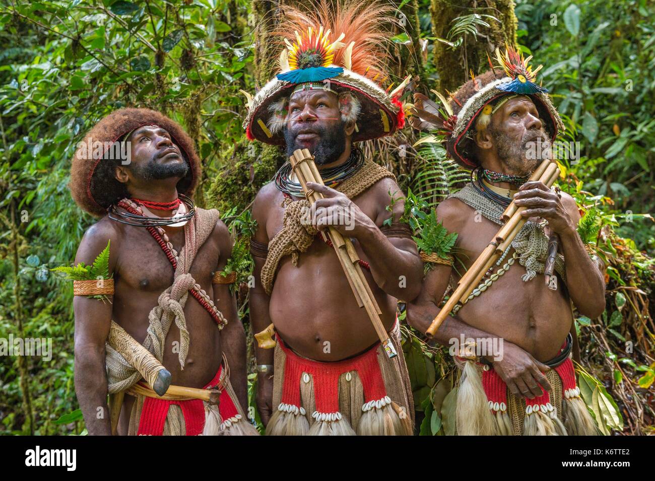 Papua Nuova Guinea, Hela provincia, regione Ambua, Huli tribù, chief ...