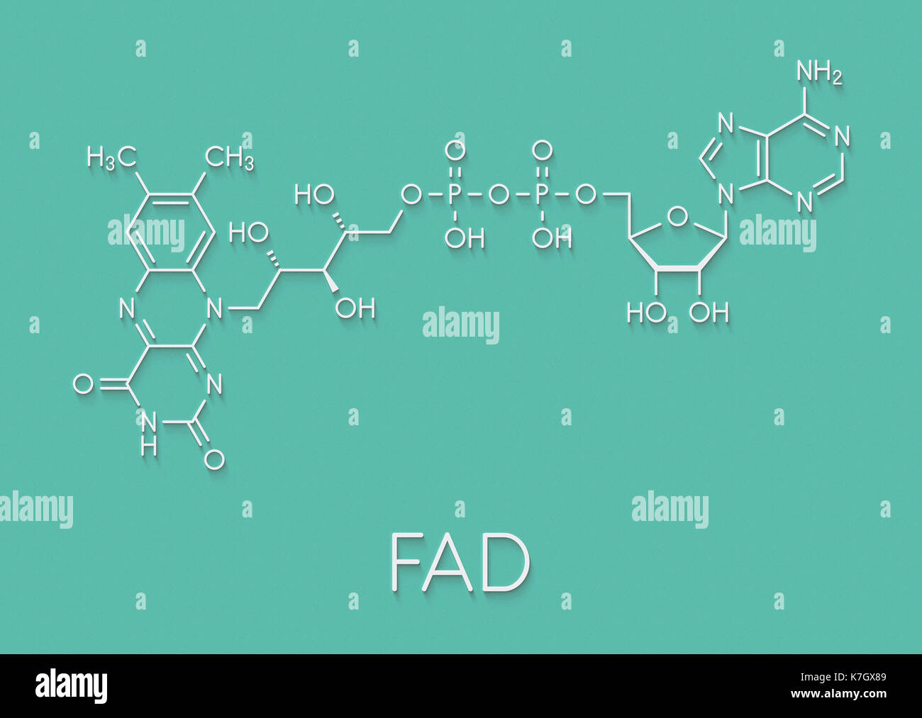 Flavina adenina dinucleotide (FAD) redox molecola di coenzima. formula ...