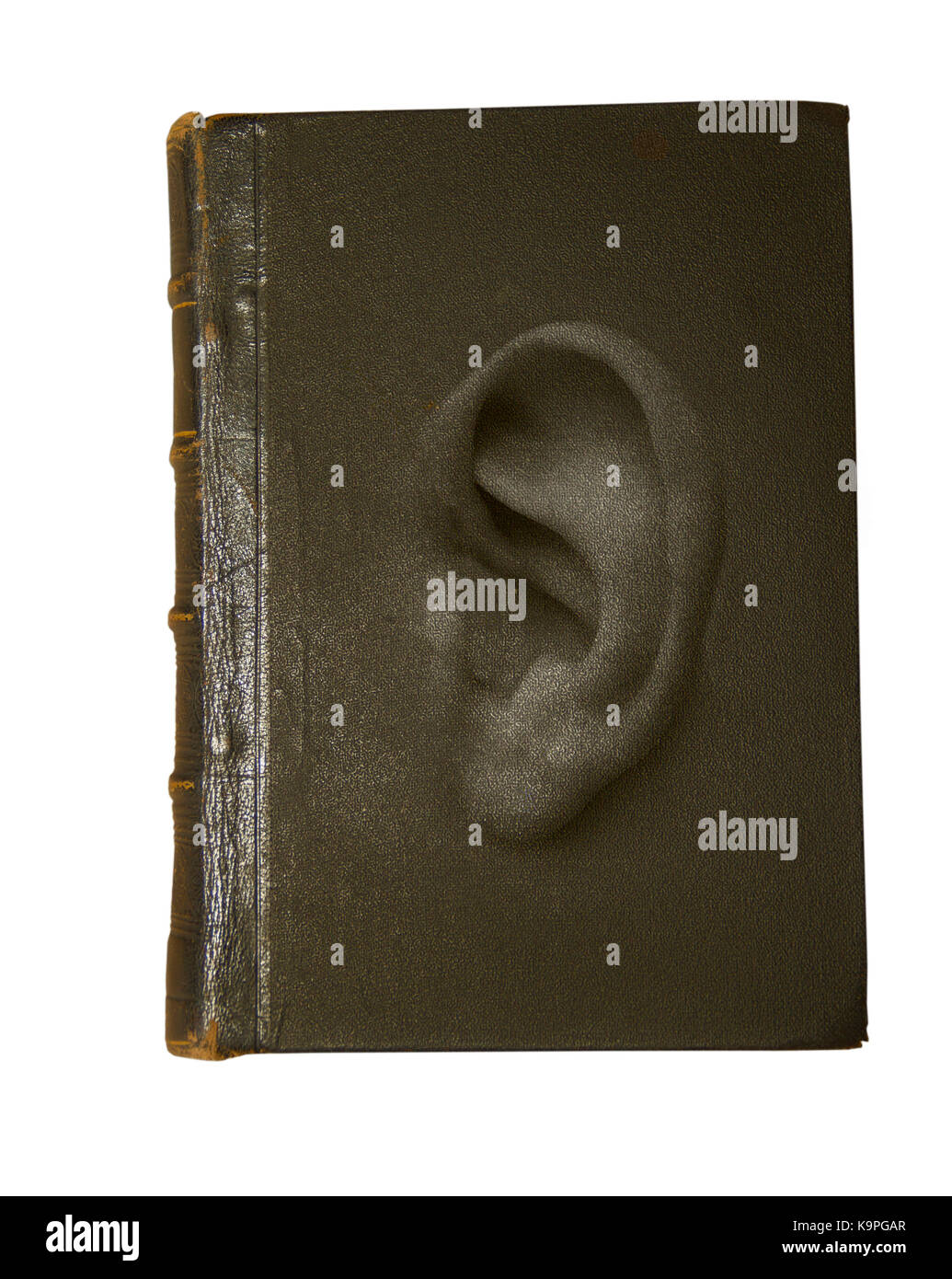 Orecchio grosso immagini e fotografie stock ad alta risoluzione - Alamy