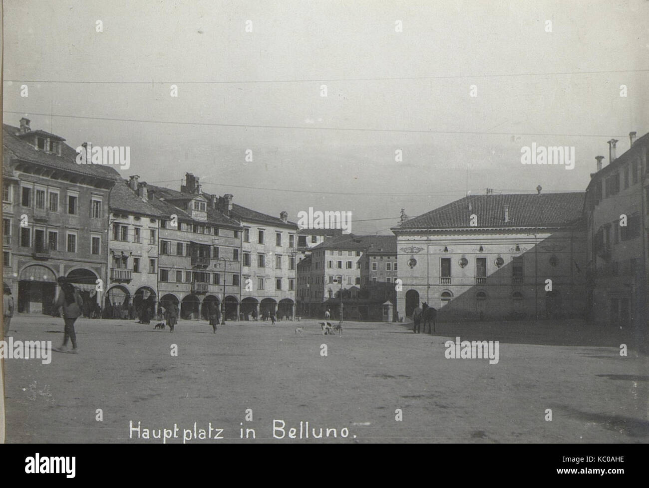 Mappa di belluno immagini e fotografie stock ad alta risoluzione - Alamy
