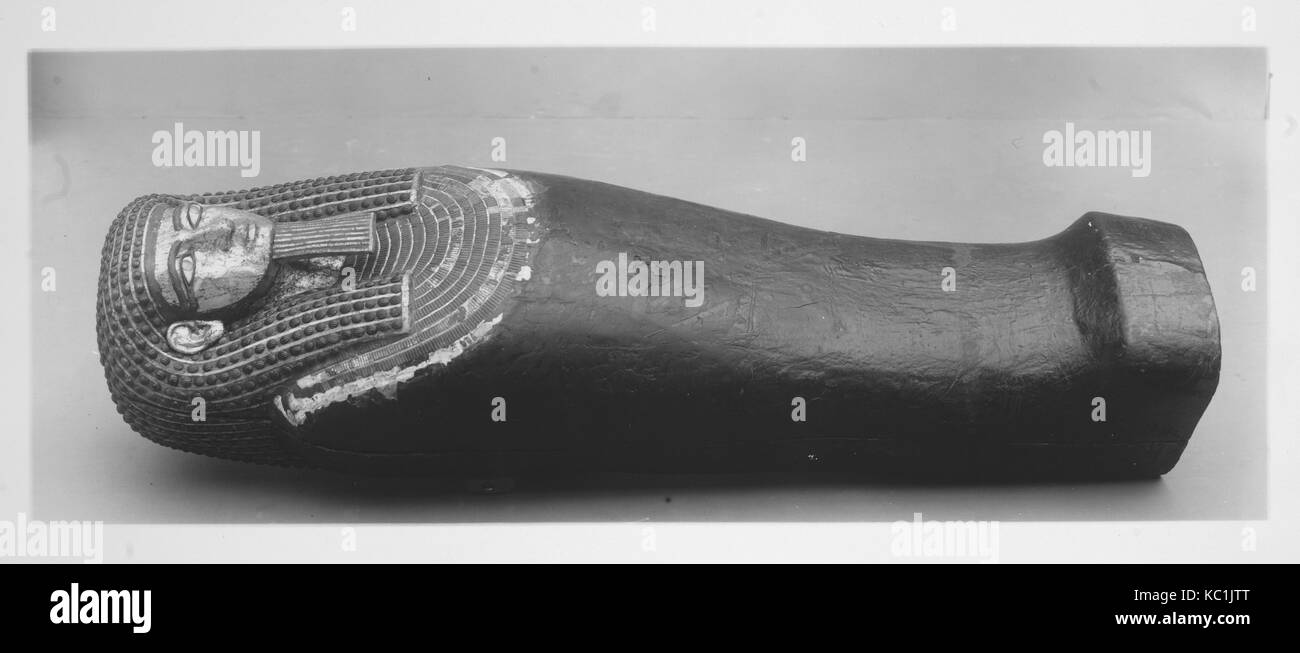 Antropoide interiore immagini e fotografie stock ad alta risoluzione ...
