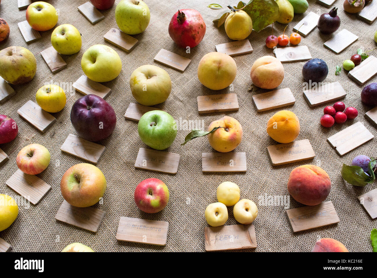 Frutta italiana tipica immagini e fotografie stock ad alta risoluzione ...