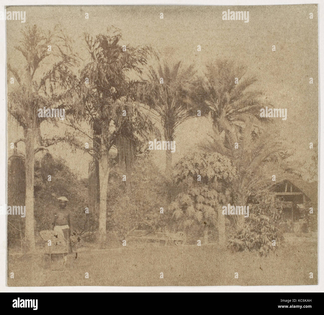 John constantine stanley immagini e fotografie stock ad alta risoluzione - Alamy