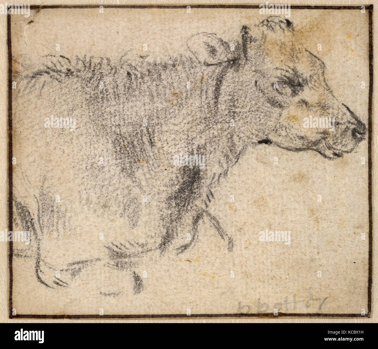 Disegni e Stampe, disegno, lo studio di una mucca sdraiata, artista ...