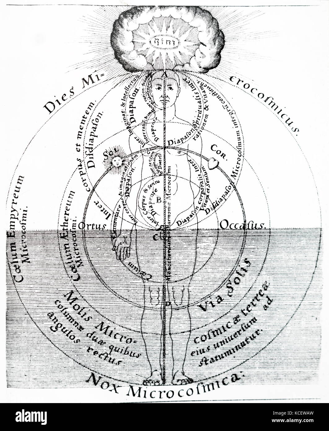 Illustrazione raffigurante la notte e giorno del microcosmo da Robert ...
