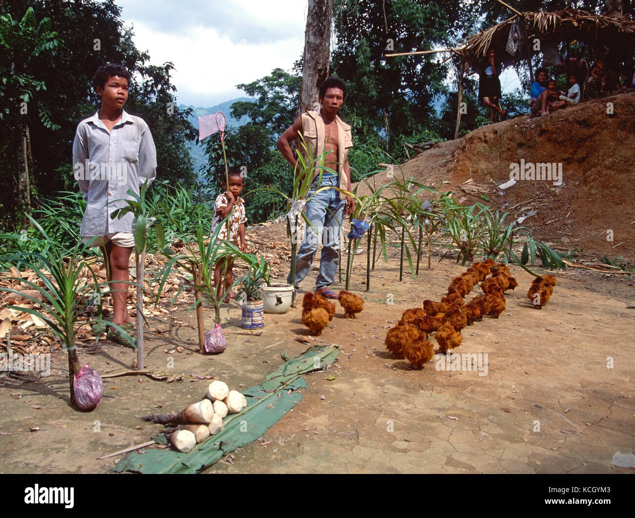 Orang asli immagini e fotografie stock ad alta risoluzione - Alamy
