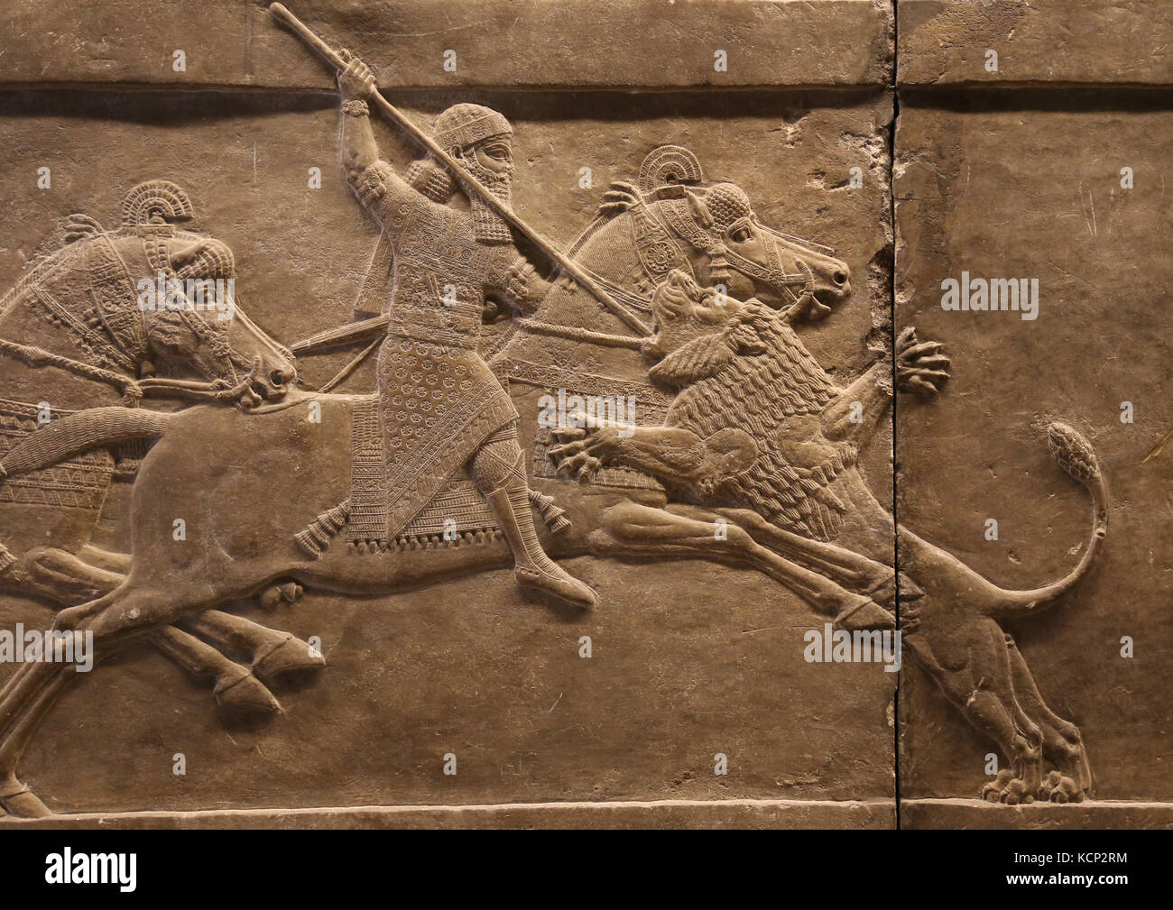 Caccia ashurbanipal lion. rilievo. neo-assiri. palace, Ninive, Irak ...