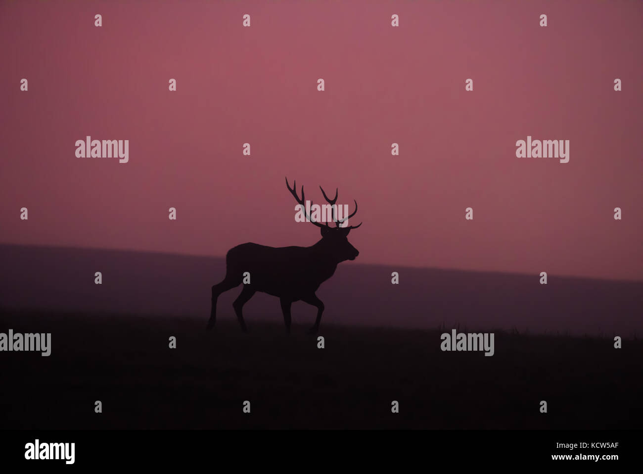 Periodo crepuscolare immagini e fotografie stock ad alta risoluzione ...