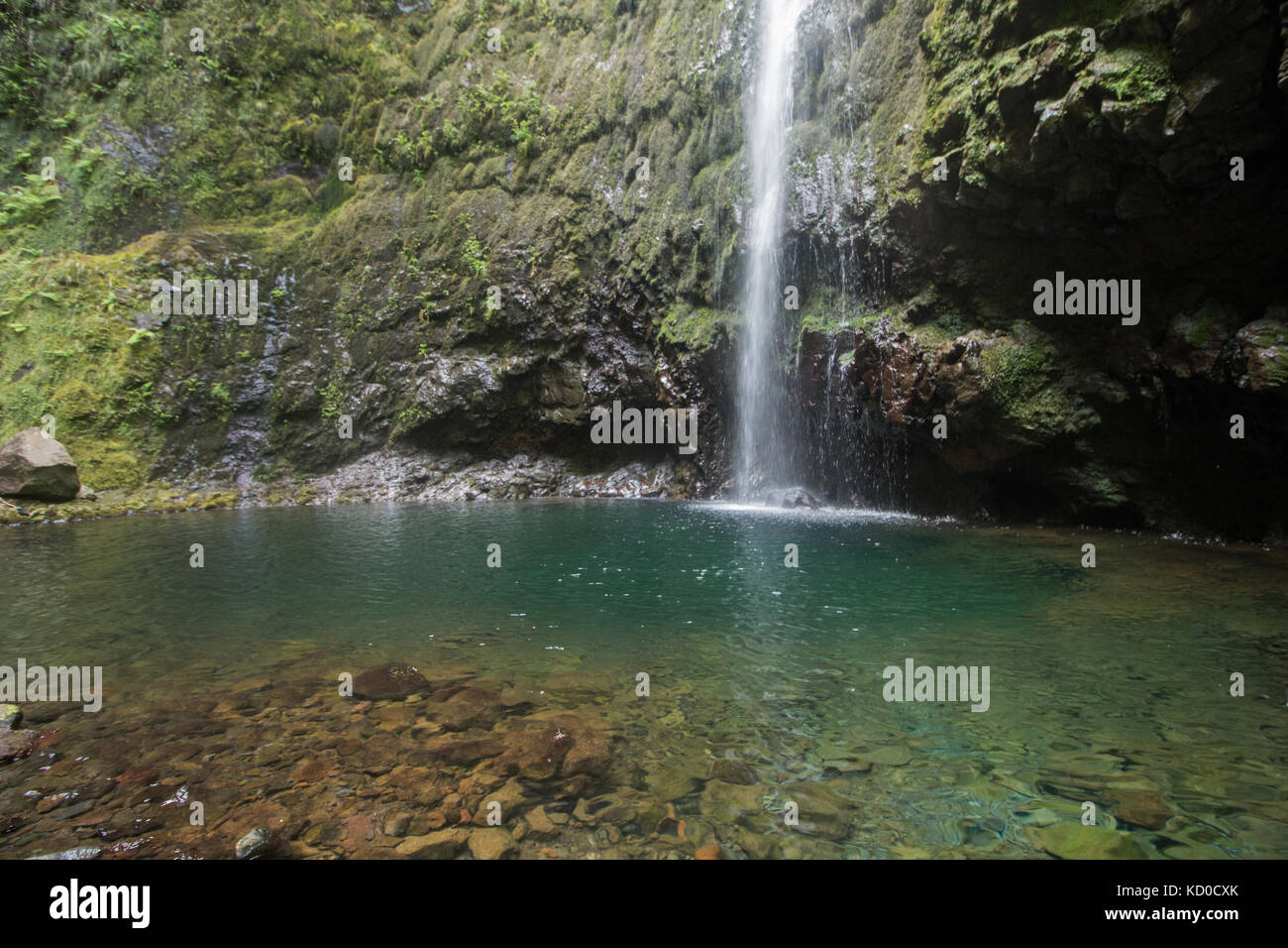 Levada del caldeirao verde, famoso sentiero escursionistico sull' isola ...