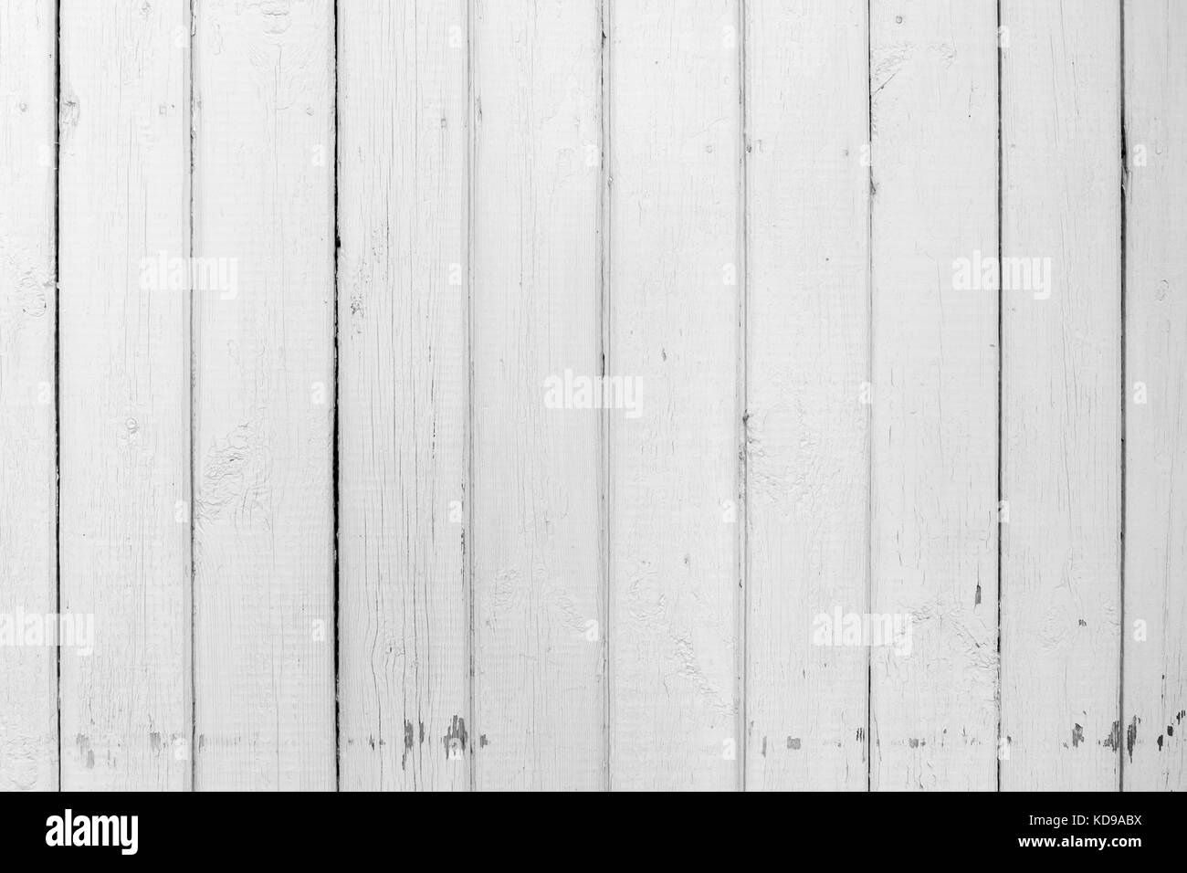 Natural patterns Foto e Immagini Stock in Bianco e Nero - Alamy