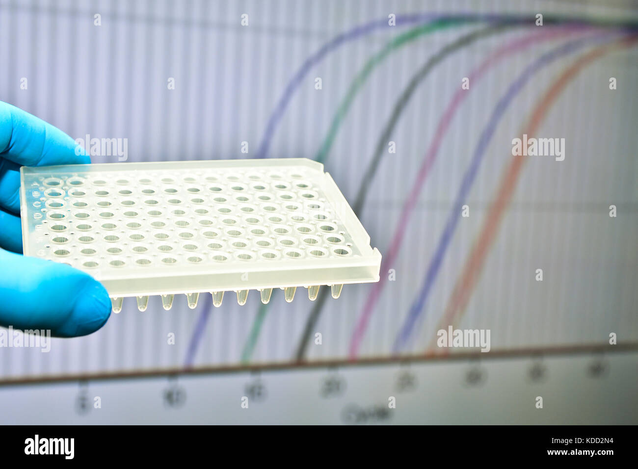 Il test del DNA mediante la PCR in tempo reale metodo. una piastra da ...
