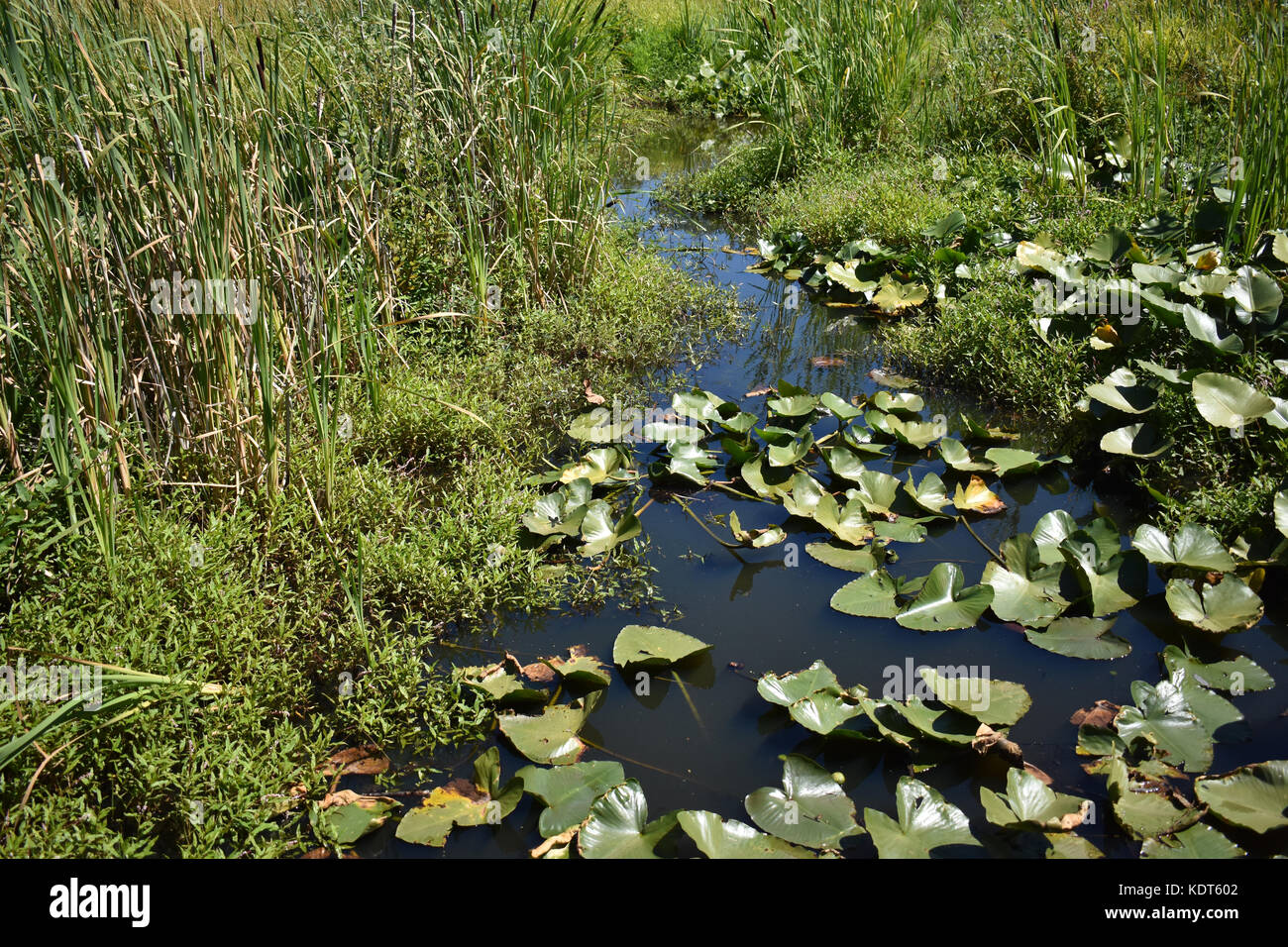 Lago di tennat immagini e fotografie stock ad alta risoluzione - Alamy