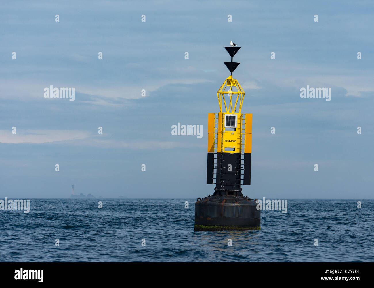 Boa cardinale del sud immagini e fotografie stock ad alta risoluzione ...