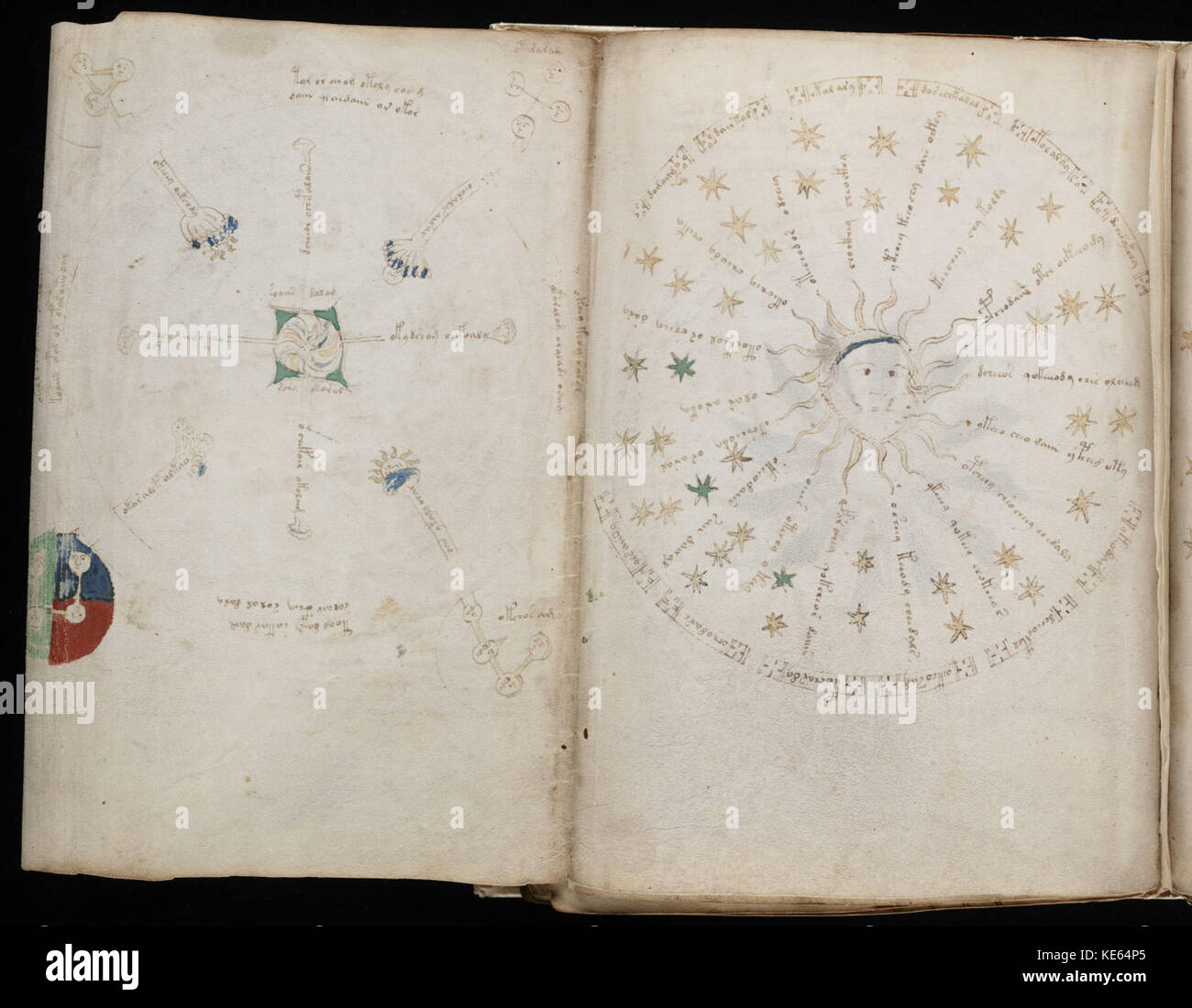 Voynich manuscript immagini e fotografie stock ad alta risoluzione - Alamy
