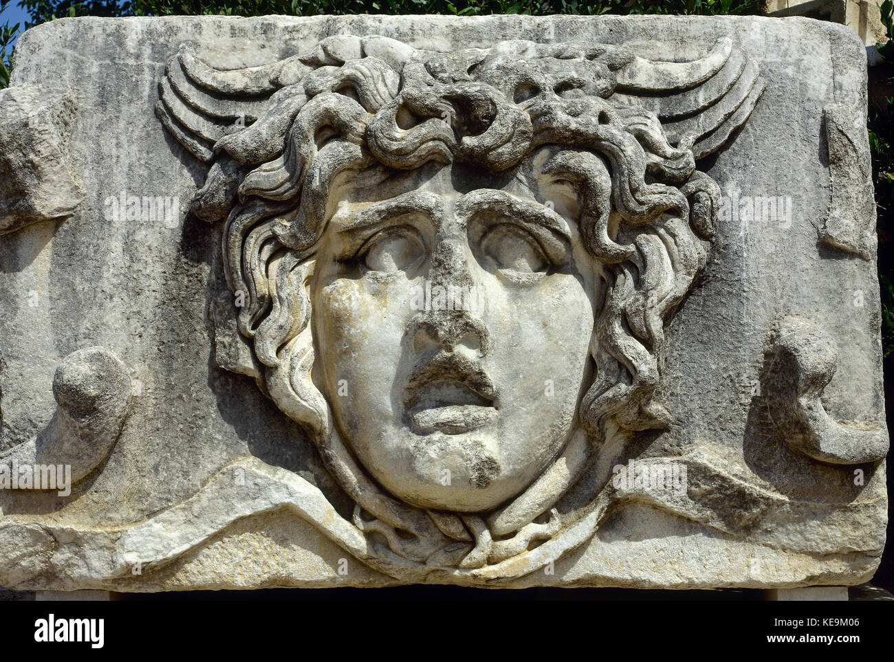 Testa guardata immagini e fotografie stock ad alta risoluzione - Alamy