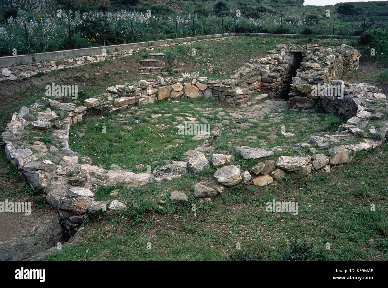 Della preistoria immagini e fotografie stock ad alta risoluzione - Alamy