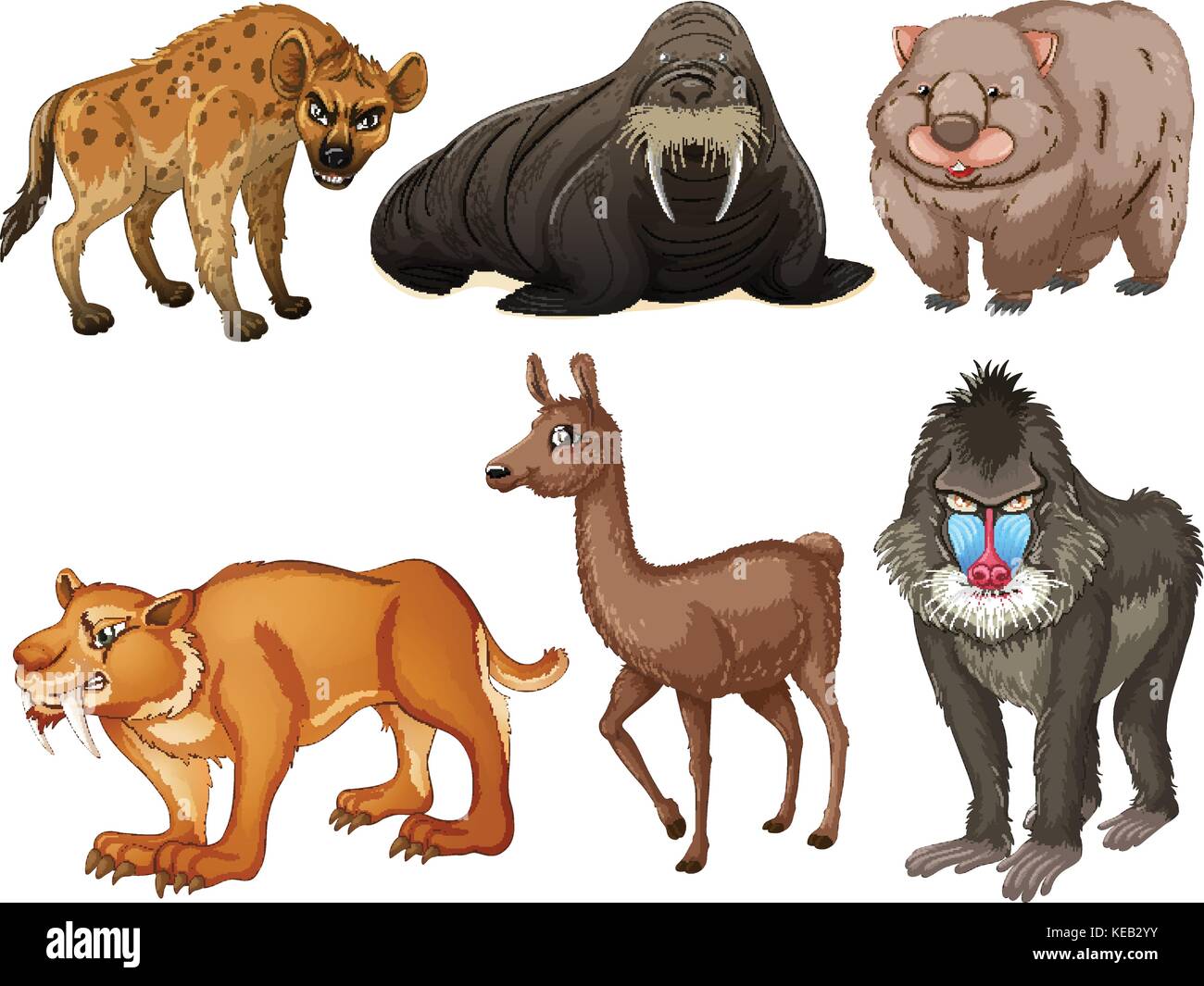 Animali rari e in via di estinzione Immagini Vettoriali Stock - Alamy