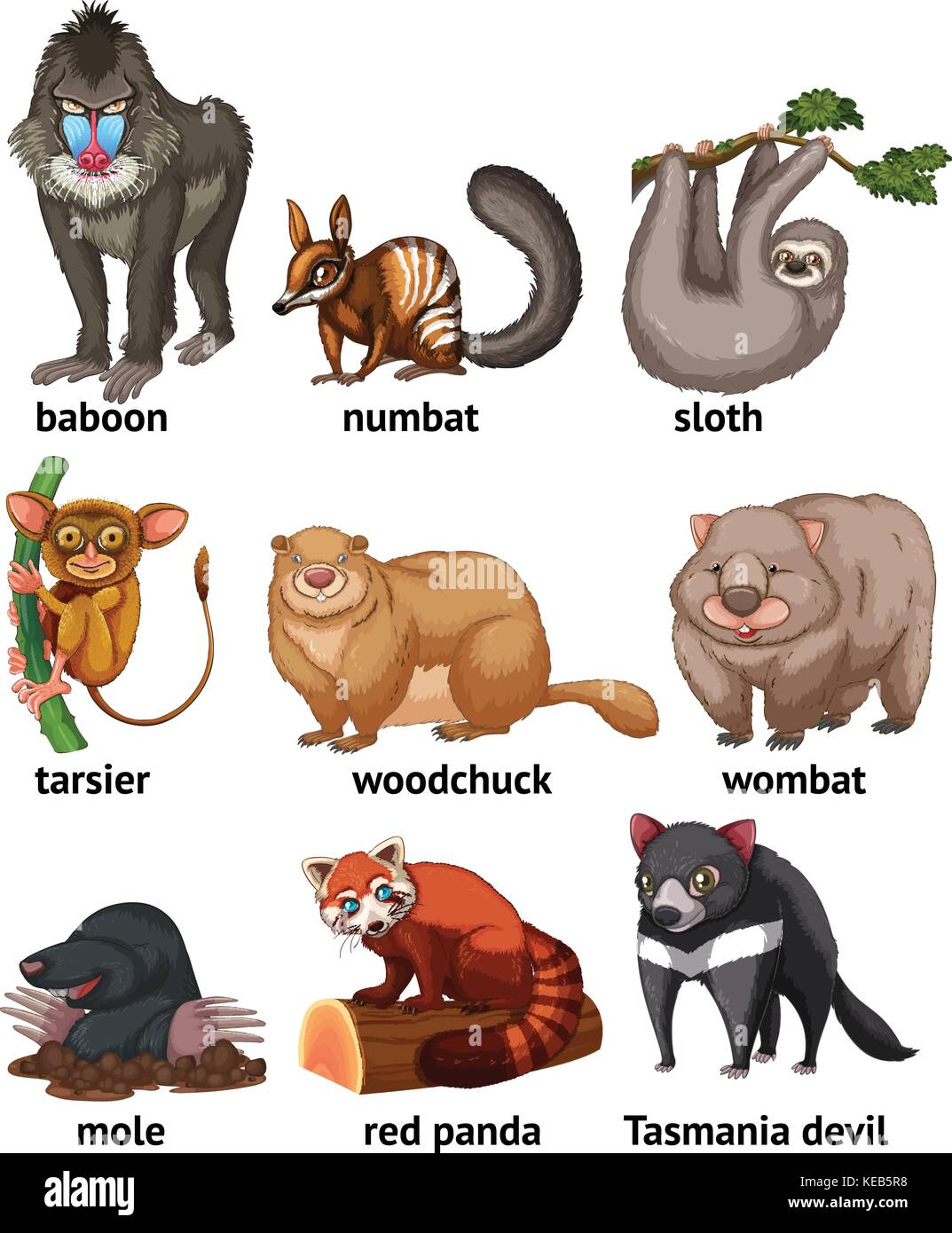 Animali rari e in via di estinzione Immagini Vettoriali Stock - Alamy