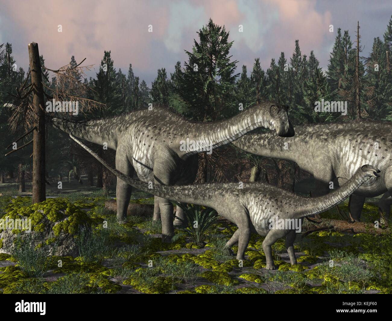 Nigersaurus taqueti immagini e fotografie stock ad alta risoluzione - Alamy