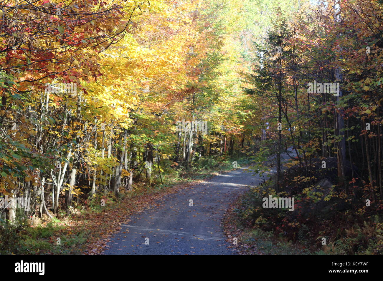Passeggiata panoramica autunnale immagini e fotografie stock ad alta ...