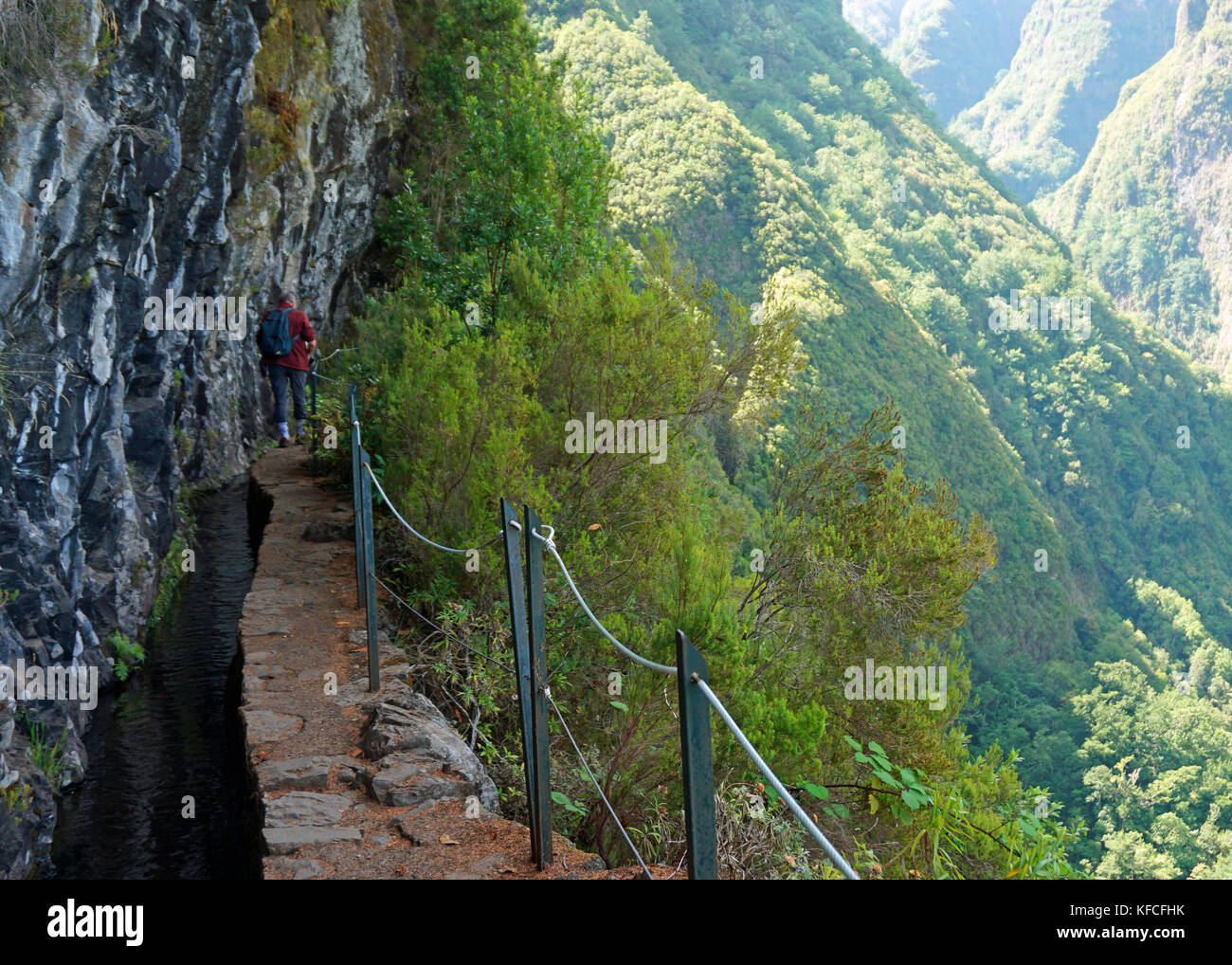 Madeira lavadas immagini e fotografie stock ad alta risoluzione - Alamy