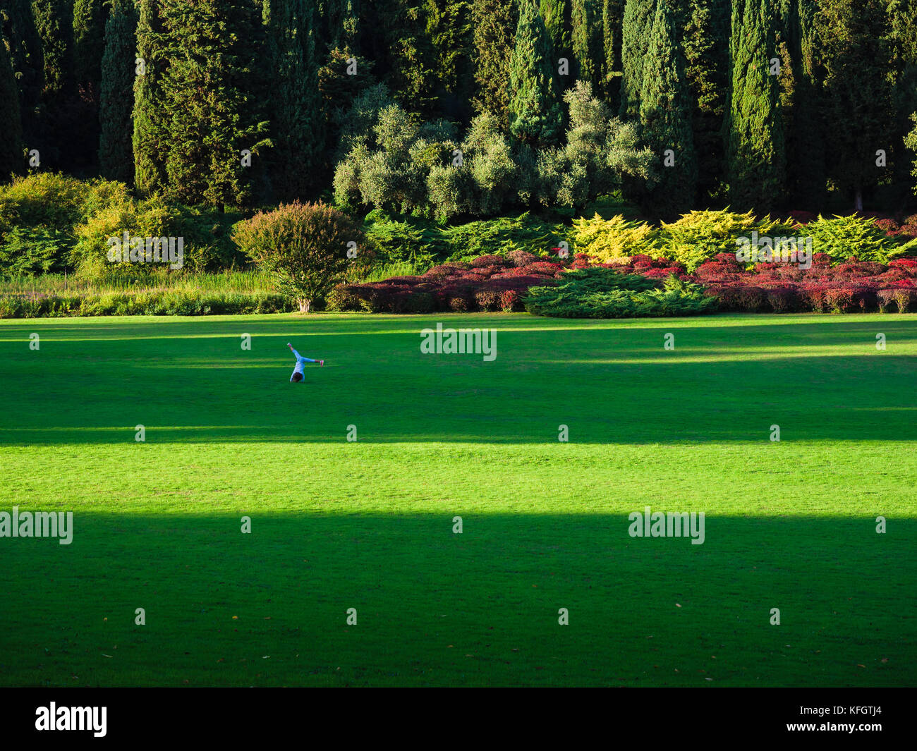 In avanti capriola immagini e fotografie stock ad alta risoluzione - Alamy