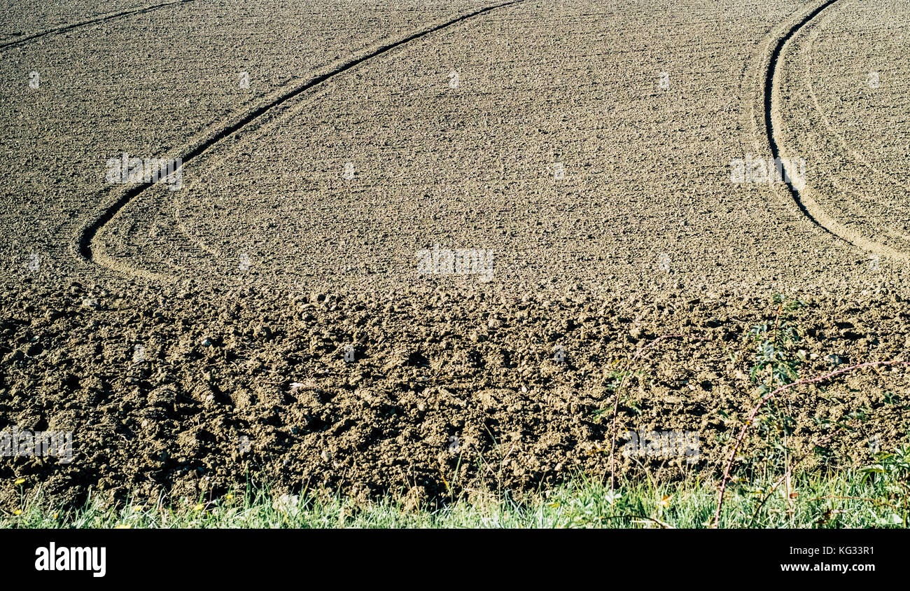 Sfondo del campo immagini e fotografie stock ad alta risoluzione - Alamy