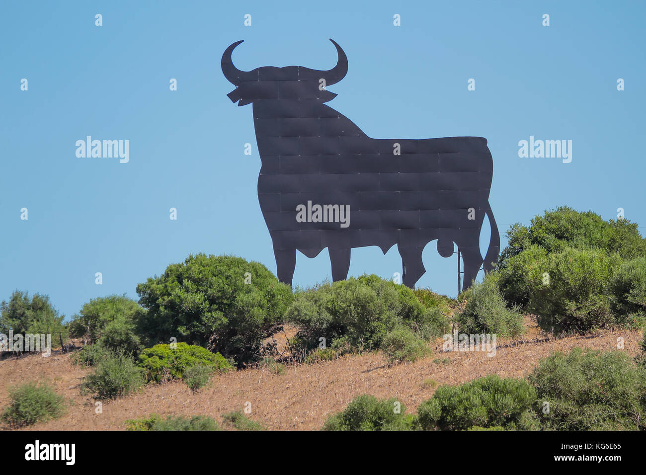 Sagoma di toro immagini e fotografie stock ad alta risoluzione - Alamy