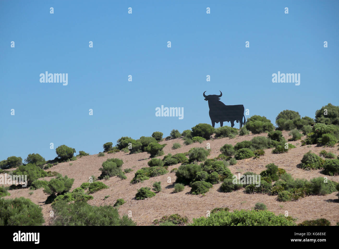 Sagoma di toro immagini e fotografie stock ad alta risoluzione - Alamy