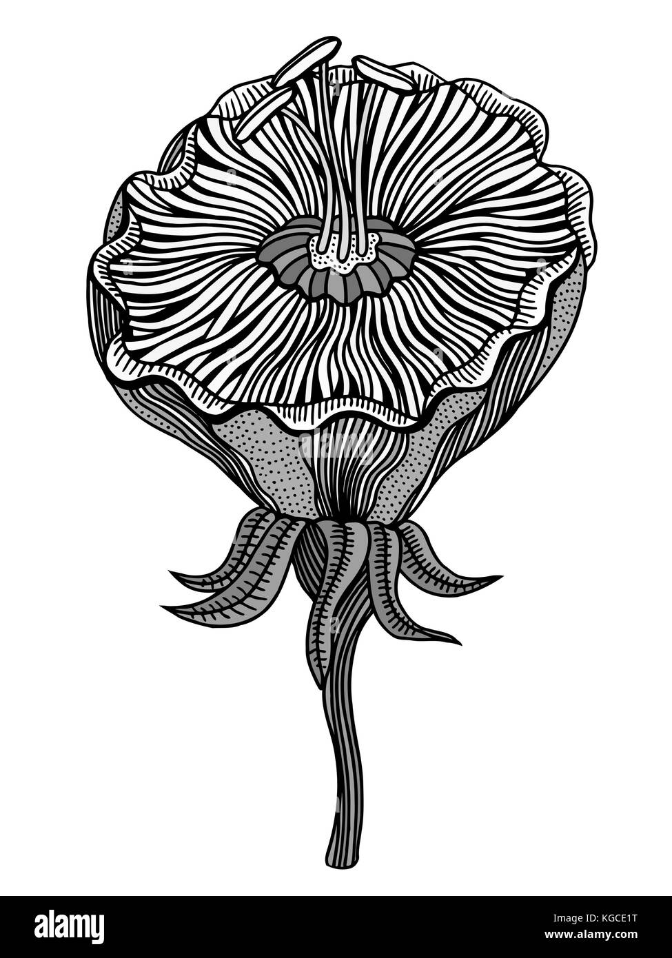 Disegni di arte fiore zentangle immagini e fotografie stock ad alta ...