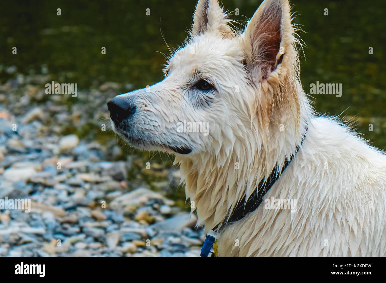 Attento ai dettagli immagini e fotografie stock ad alta risoluzione - Alamy