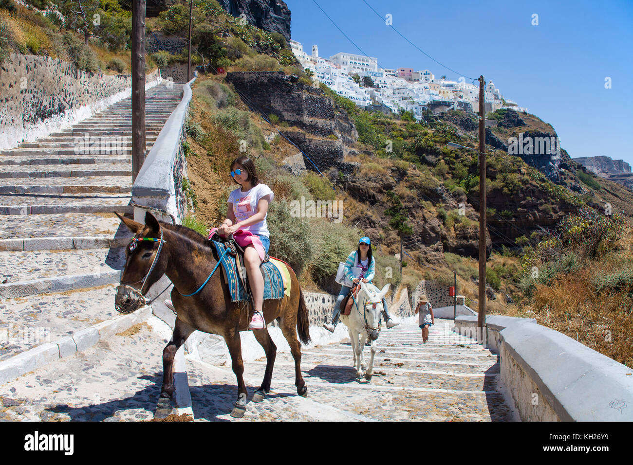 I turisti a cavallo di asini, dal vecchio porto fino a Thira, isola di ...