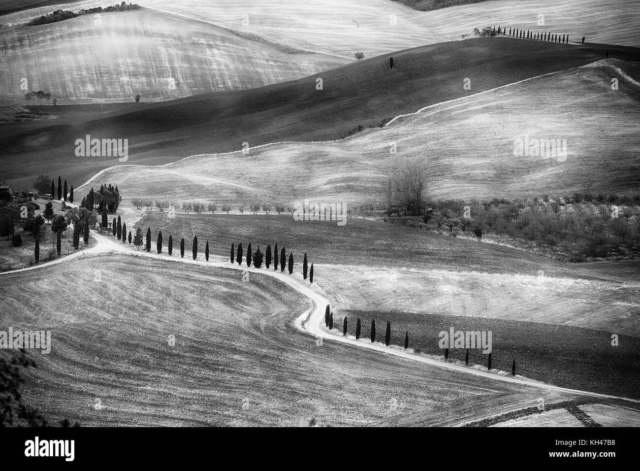 Strada sterrata di campagna in toscana immagini e fotografie stock ad ...