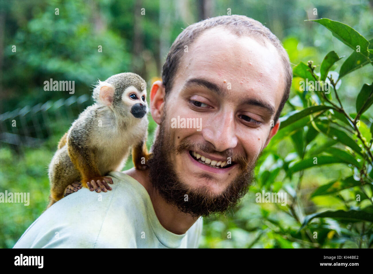 Finger monkey immagini e fotografie stock ad alta risoluzione - Alamy