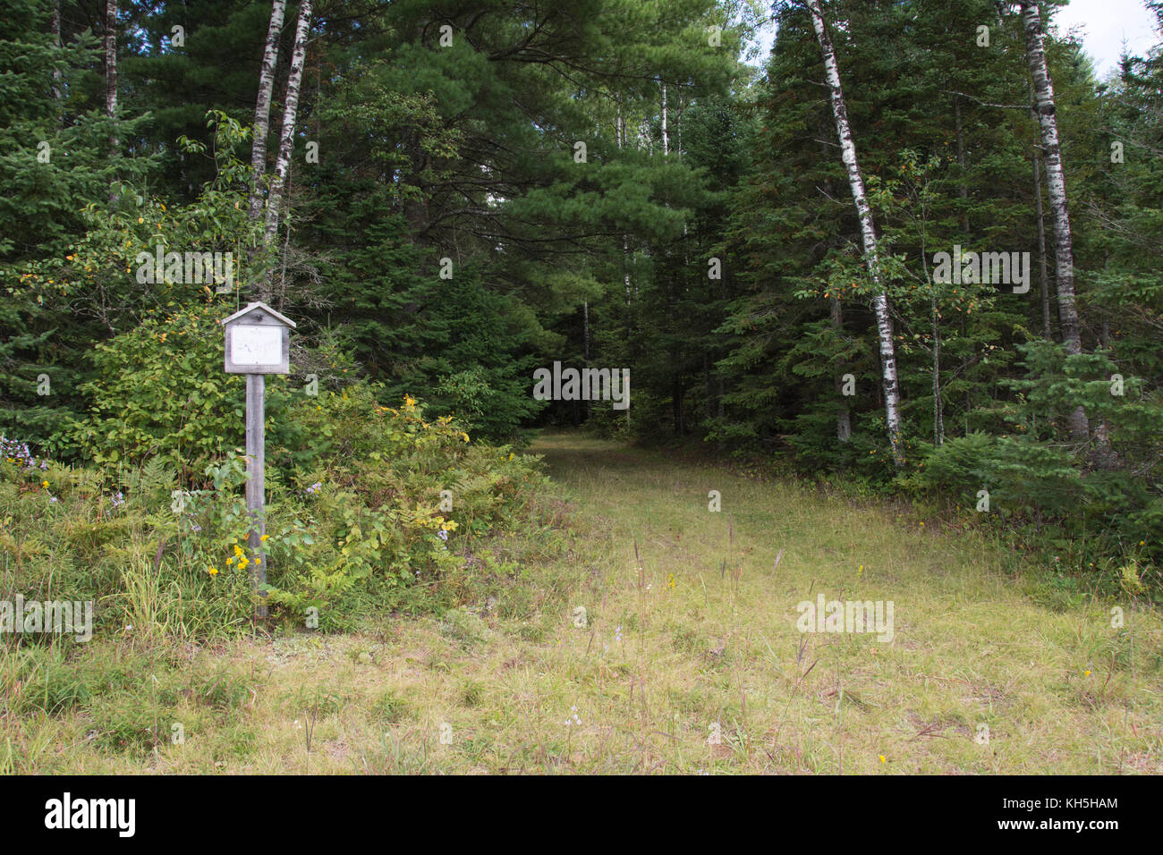 Mercer map immagini e fotografie stock ad alta risoluzione - Alamy