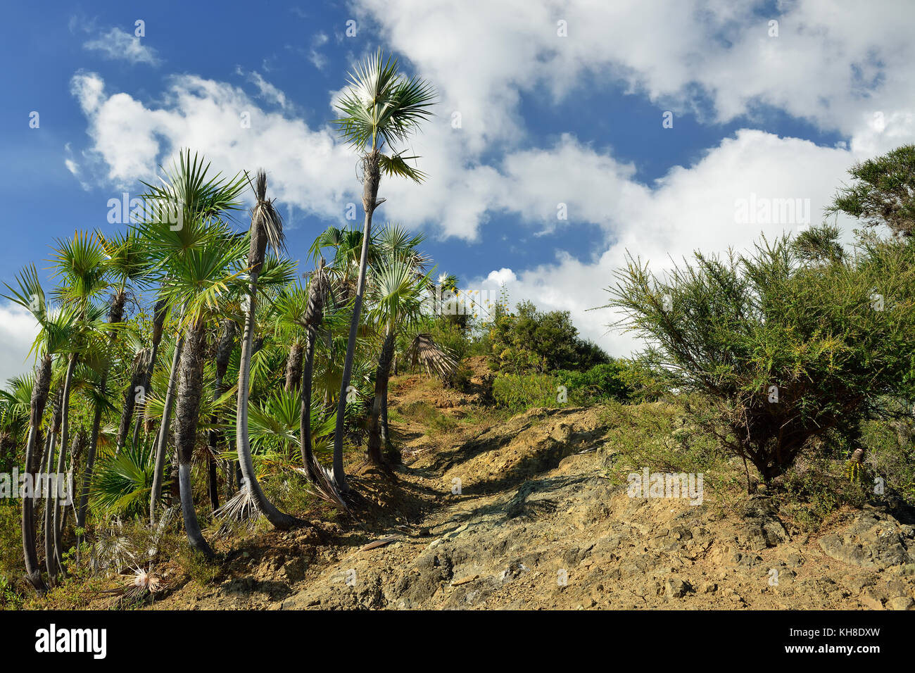 Pico turquino immagini e fotografie stock ad alta risoluzione - Alamy