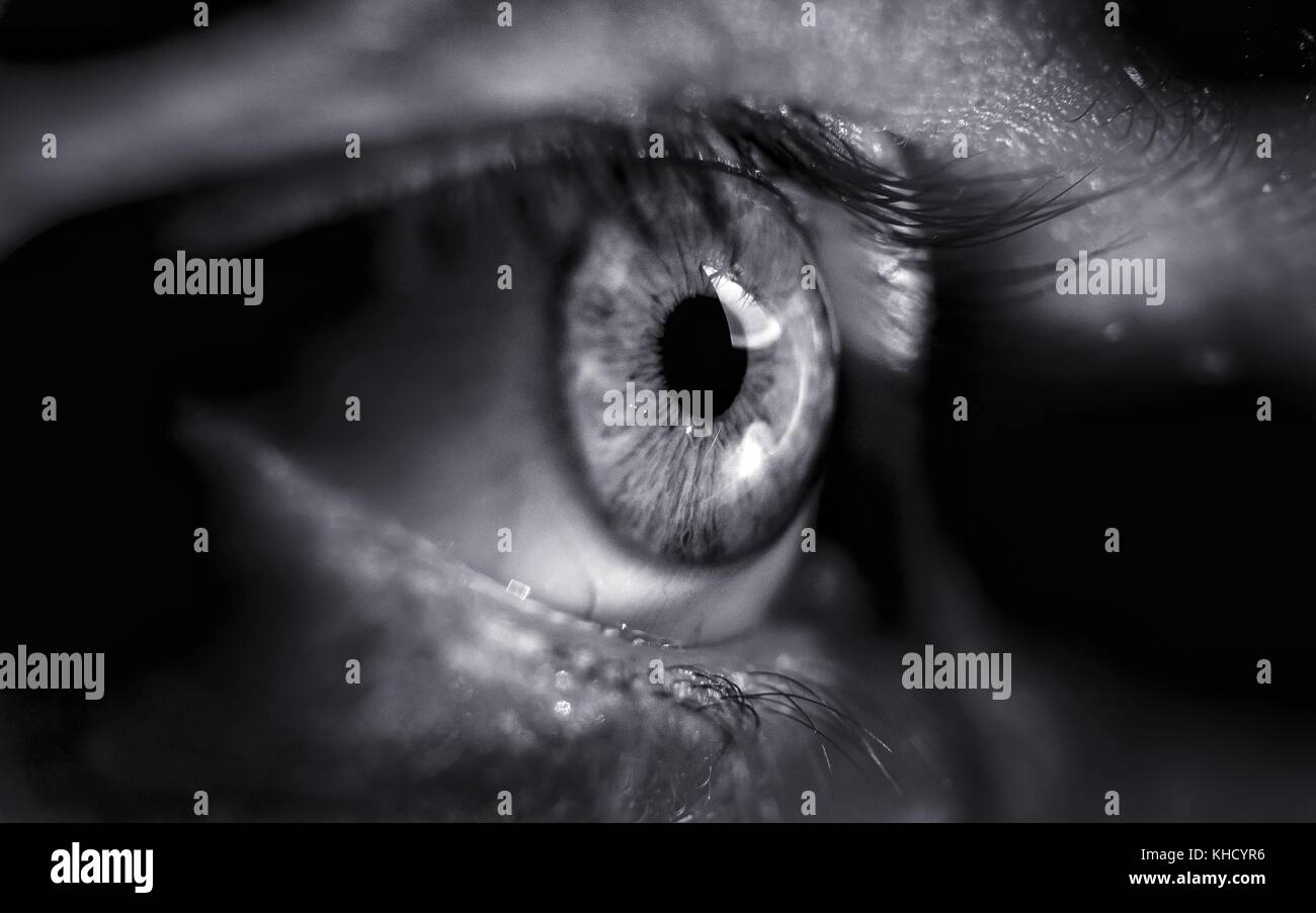 Occhio ti vedo immagini e fotografie stock ad alta risoluzione - Alamy