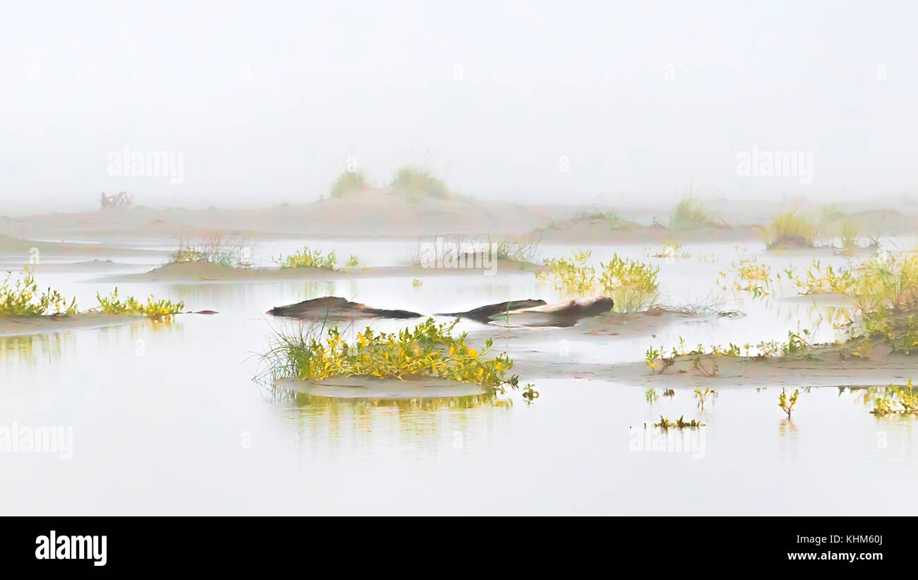 Sensazione di morbidezza immagini e fotografie stock ad alta ...